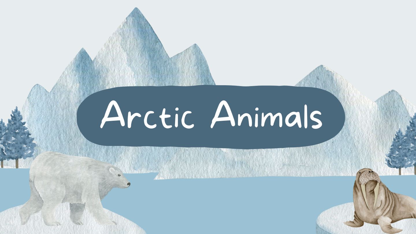 Arctic Collection – Minky by Margios